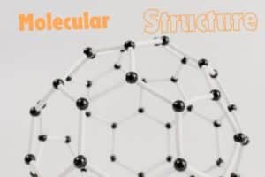 The Molecular Mirror: The Biochemistry of Bio-identical Hormones